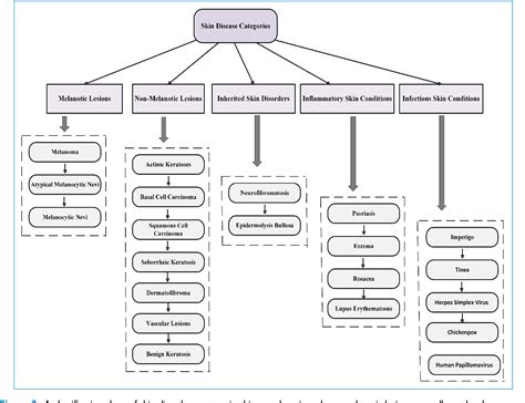 Figure 2 From Dual Stage Segmentation And Classification Framework For Skin Lesion Analysis