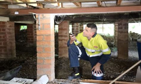 How To Spot And Prevent Termite Activity During Summer In Australia