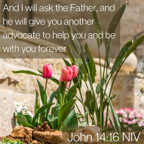 How To Love God Define Idolatry In Your Life The Shepherds Sheep