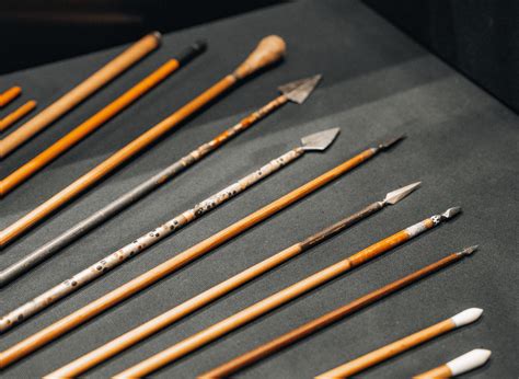 Hit The Bullseye How Arrow Field Points Impact Precision