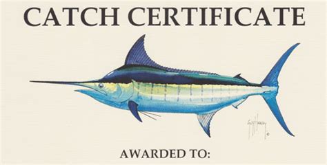 Igfa Catch Certificates Fishing World