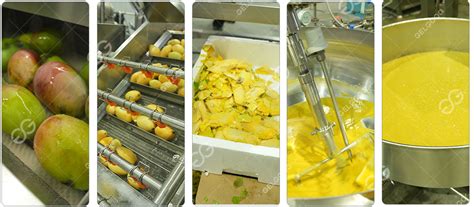 Línea De Producción De Puré De Mango