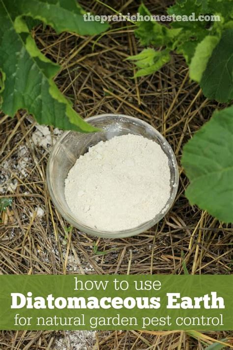 Diatomaceous Earth Uses In The Garden Artofit