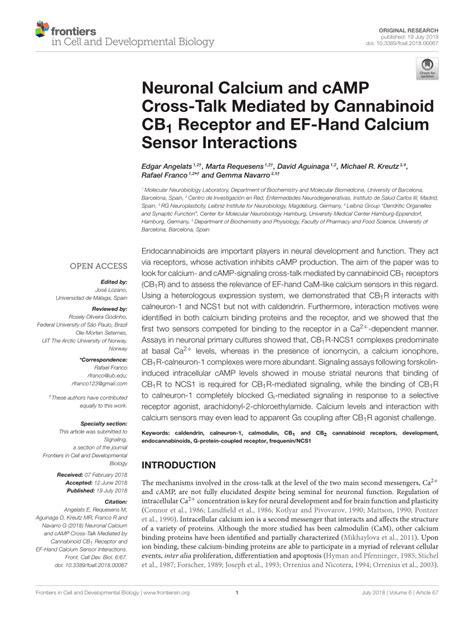 Pdf Neuronal Calcium And Camp Cross Talk Mediated By Cannabinoid Cb1 Receptor And Ef Hand