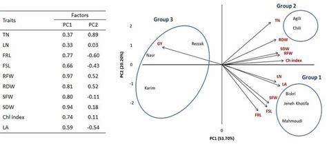 Principal Component Analysis Showing The Distribution Of Seedling