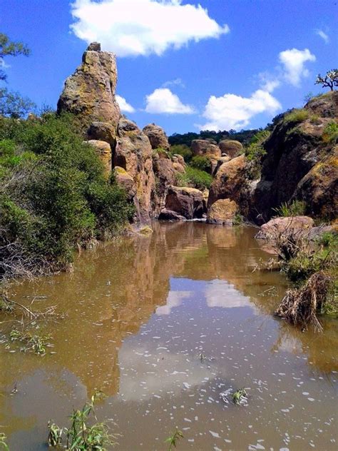 Lagos De Moreno Jalisco México Lagos De Moreno Jalisco Mexico Jalisco