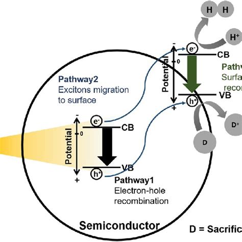 Schematic Illustration Of Exciton Transfer And Recombination In