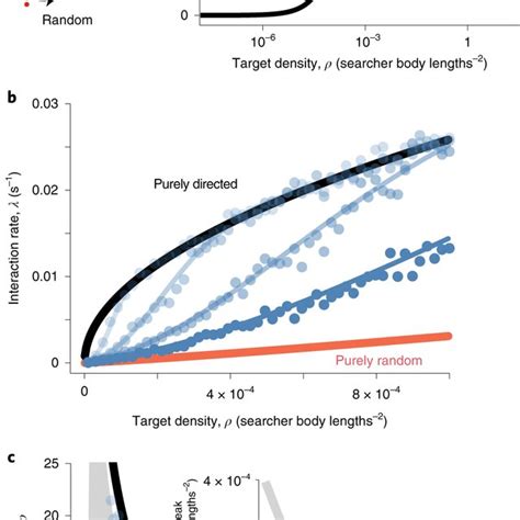 Two Species X 1 X 2 Feeding On Limiting Substrate S In A