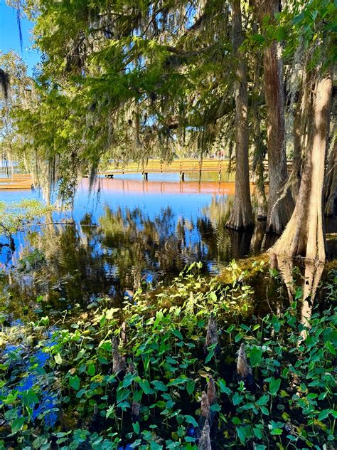 Untitled Farley Endeman Flickr