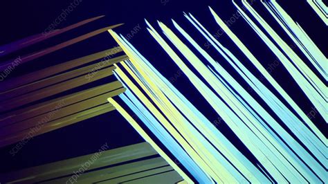 Resorcinol Crystal Growth Stock Video Clip K0043205 Science