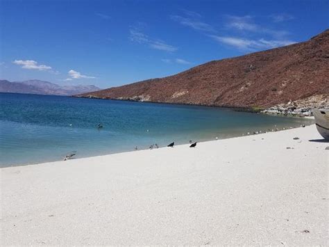 Bahia De Los Angeles 2020 All You Need To Know Before You Go With