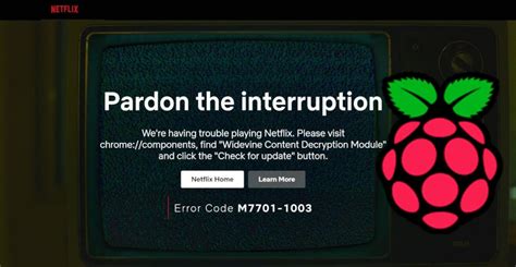 Raspberry Pi Επίσημη υποστήριξη για Netflix Spotify Cerebrux