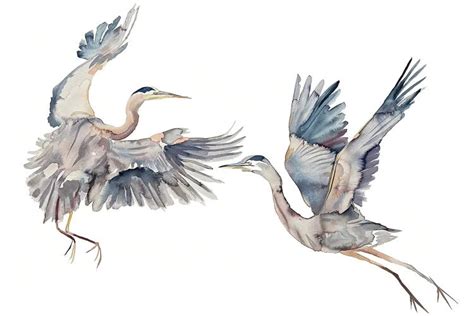 Two Herons Canvas Wall Art By Elizabeth Becker Icanvas