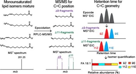Mapping Lipid C═c Isomer Profiles Of Human Gut Bacteria Through A Novel