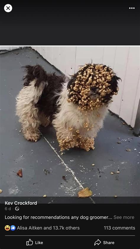 Harry Mason Nextdoor