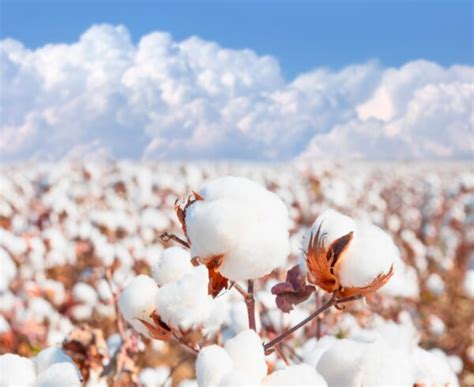 Facility Data Management For Higg Fem Users