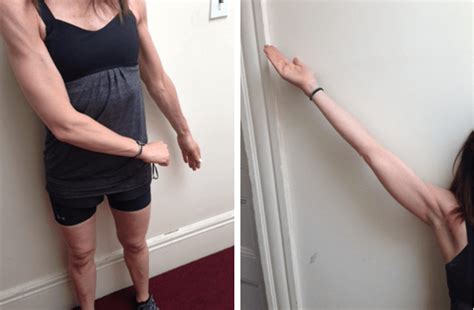 The Rotator Cuff Conundrum Fitness Professional Online