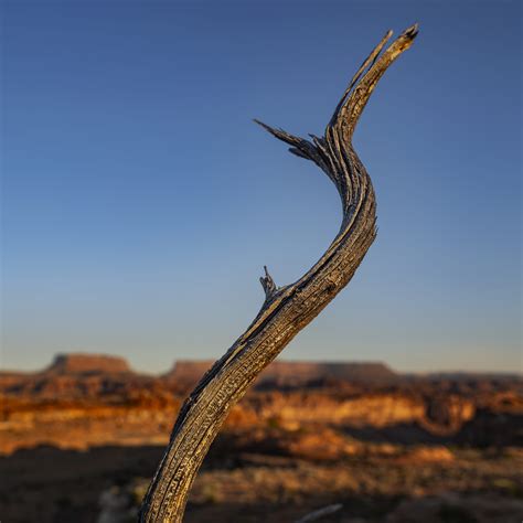 Andrew Macpherson The Independent Photographer