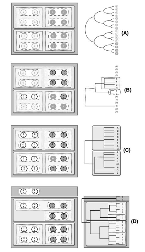 Sampling Dna Barcoding And Taxonomy With Next Generation Sequencing