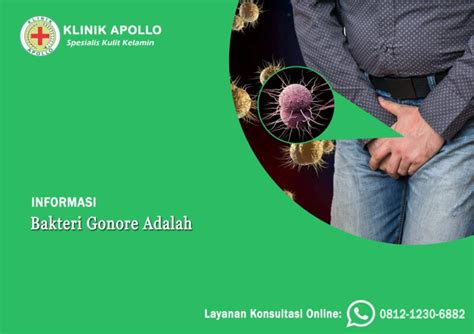 Bakteri Gonore Adalah Penyebab Infeksi Menular Seksual Klinik Apollo Jakarta