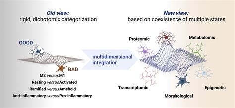 Microglia States And Nomenclature A Field At Its Crossroads Neuron
