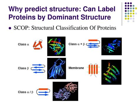 Ppt Cot 6930 Hpc And Bioinformatics Protein Structure Prediction