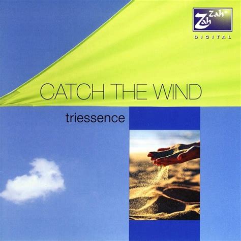 Catch The Wind Triessence Muziek Bol