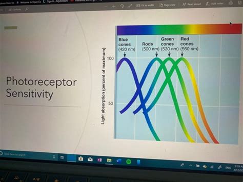 Chapter 15 The Special Senses Flashcards Quizlet