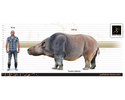 Toxodon Image Buy Uchytel Toxodon Image Buy Uchytel