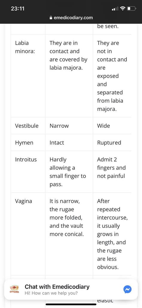 At Least It Didnt Say Pinkvirgin Brownwhore Tho Rbadwomensanatomy