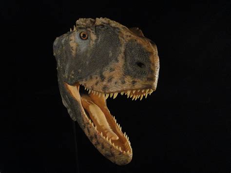 Rugops — Tyler Keillor