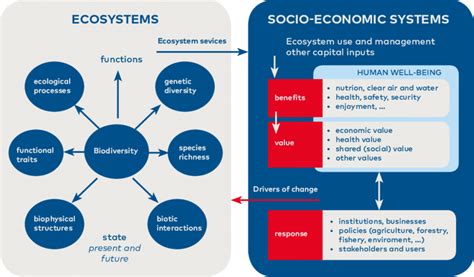 The Ecosystem Services Approach Download Scientific Diagram