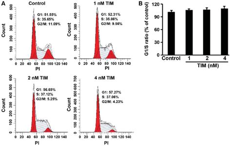 Tim Did Not Alter The Cell Cycle Distribution Of U2os Cells A