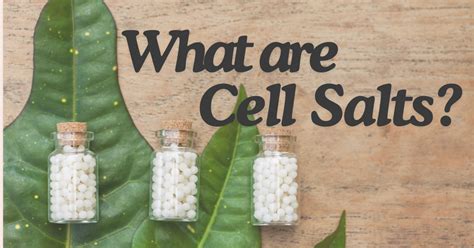 What Are Cell Salts Emily Frye Homeopathy