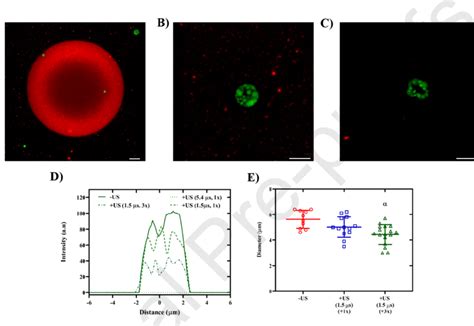 Depending On The Pulse Duration Acoustic Droplet Vaporization Adv Download Scientific