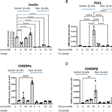 Pck1 Is Expressed In Human ß Cells Exposed To High Glucose And T3 Download Scientific Diagram
