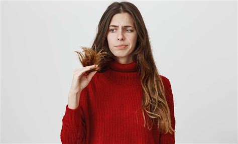 Puugi Hammustus Kõik Mida Pead Ohutuks Olemiseks Teadma