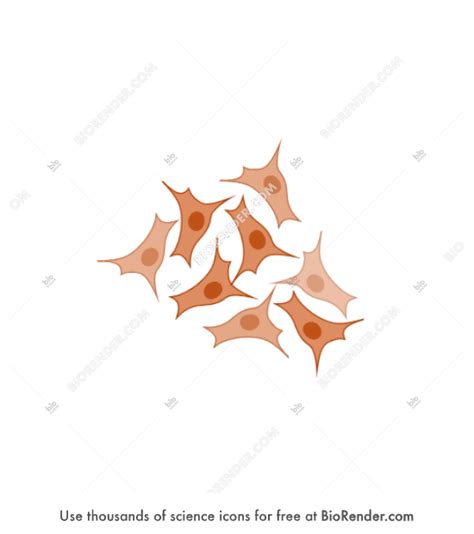 Free A549 Cells Icons Symbols And Images Biorender