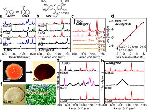 The Mof Shell As An Analyte Filter To Enhance The Analyte Download