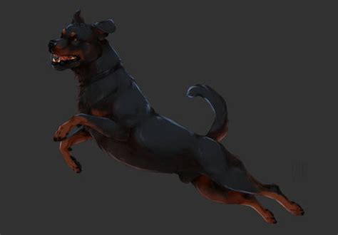Explore The Best Rottweiler Art Deviantart
