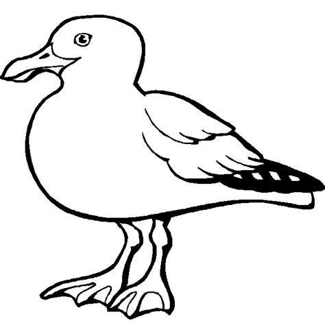 Gaviota Para Colorear