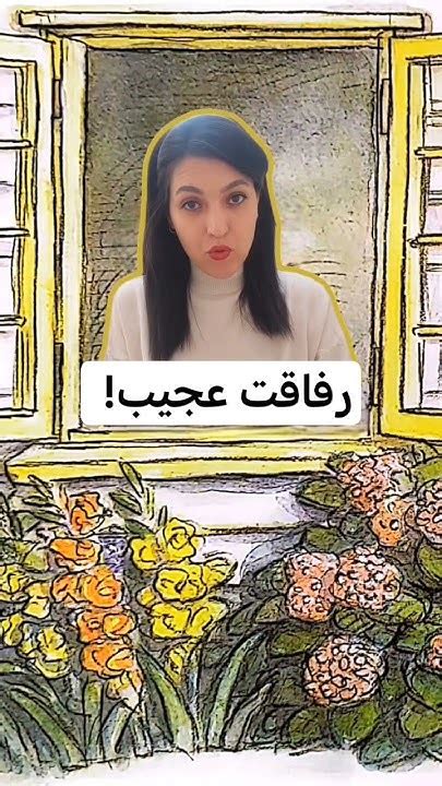 رفاقت عجیب دوستی عسلی و خرسی دوستی پرنده و خرس چگونه است؟ Youtube