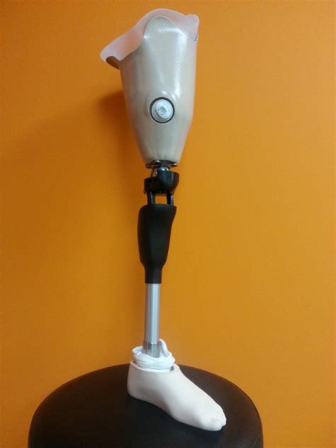 Endoskeletal Prosthesis At ₹ 100000 Piece Nacharam Hyderabad Id 10076834762