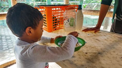 Arca Do Noah Como é A Visita E A Interação Com Os Animais