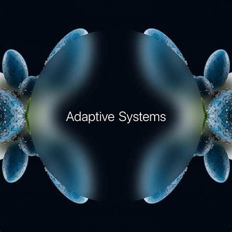 Adaptive Systems → Term