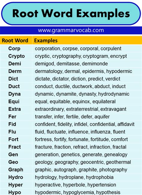 Root Words Root Word Examples Grammarvocab