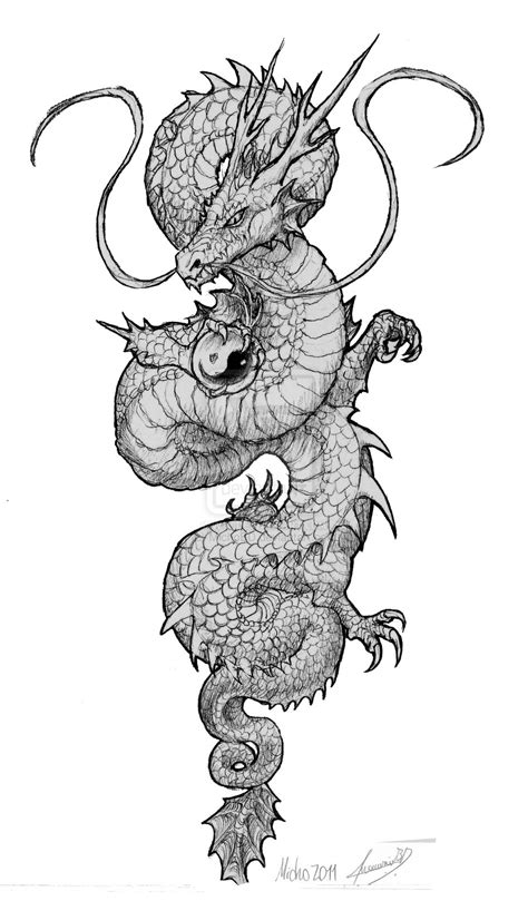 Chinese Dragon Drawing