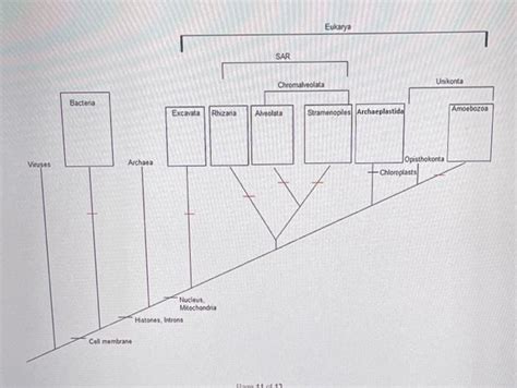 Assignment 3 Life On The Cellular Level 5 Pts