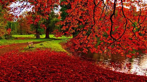100 Fall Colors Wallpapers