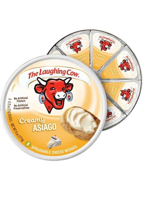 Laughing Cow Cheese In Cheese